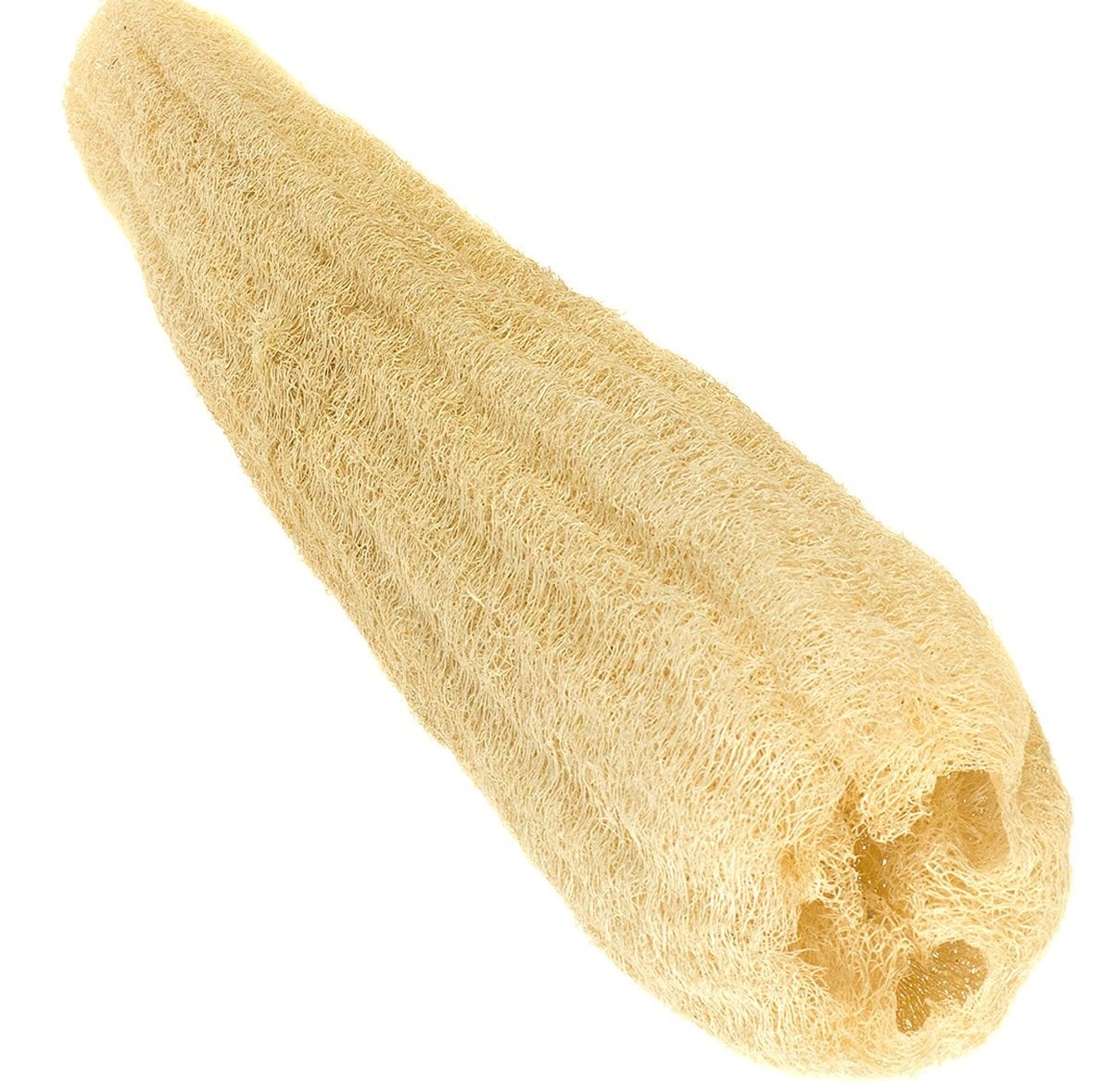 Raw and Shredded Loofah – Alofoq for Import & Export – Middle East ...